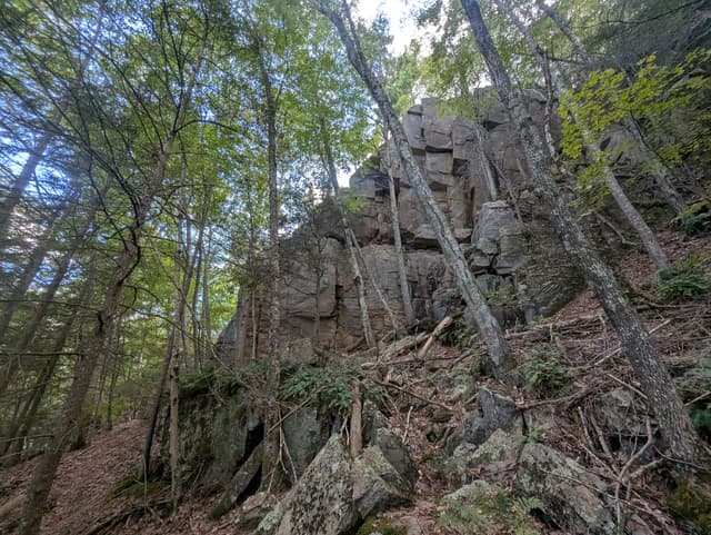 Ross Rocks climbing area